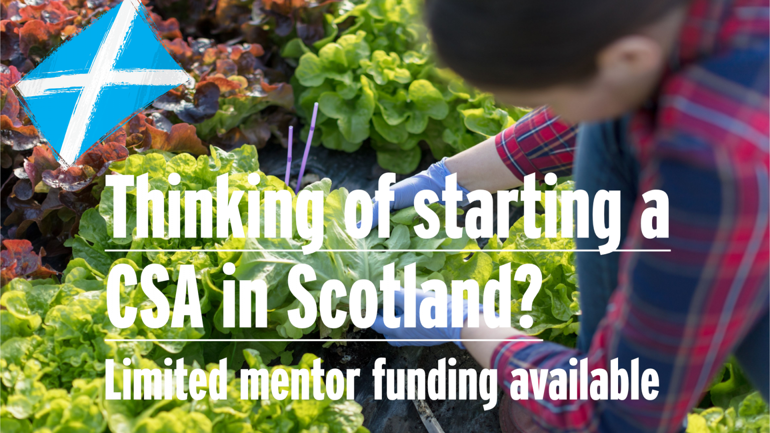 Thinking about starting a Community Supported Agriculture Project (CSA) in Scotland?