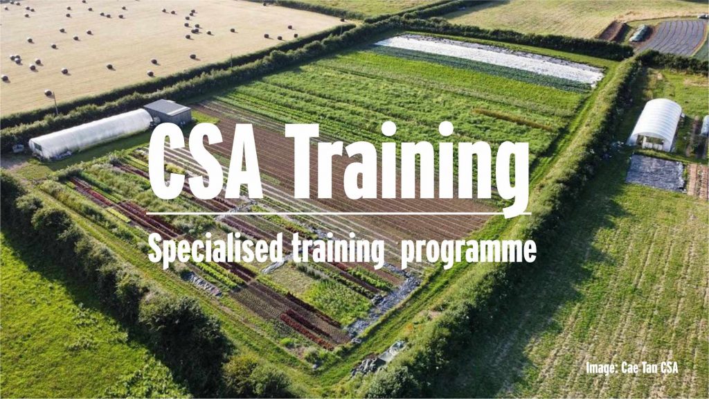 Check out our new training options and find out which one will suit you ...