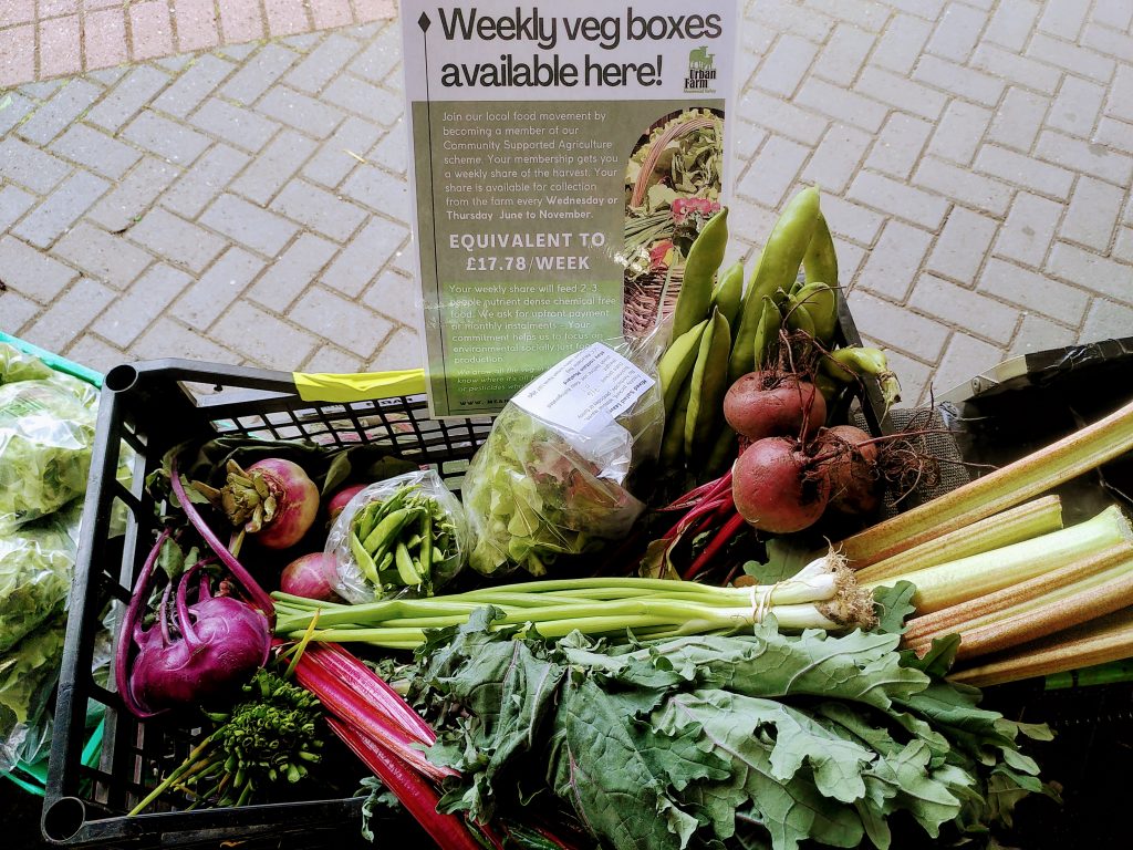 Meanwood Valley Urban Farm – Market Garden