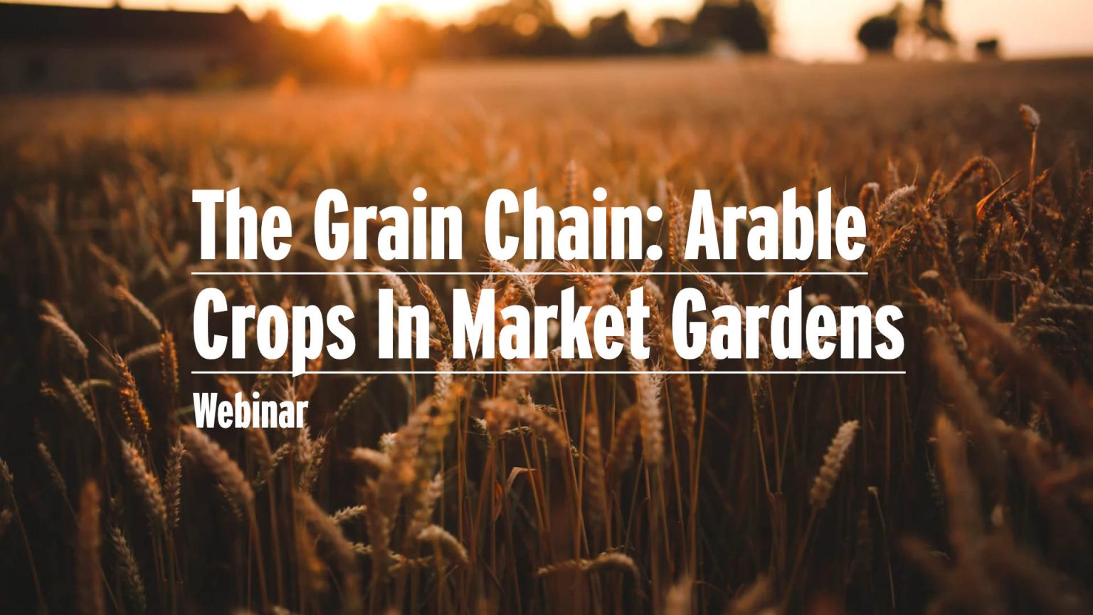 The Grain Chain: Arable Crops in Market Gardens – Webinar
