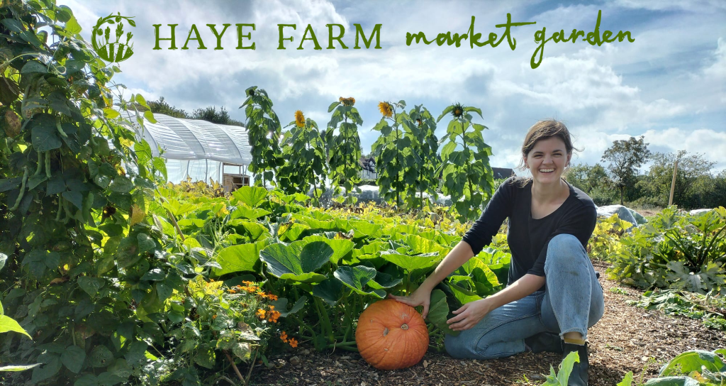 Haye Farm Market Garden