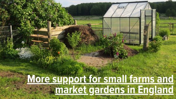 More support for small farms and market gardens in England